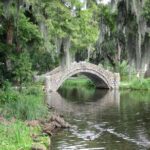 A Walk in the Park: City Park New Orleans Audio Tour - An In-depth Look at the Tour Experience