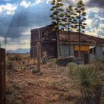 A Wine Tasting Experience in the Vineyards of the Desert - What to Expect at Each Stop