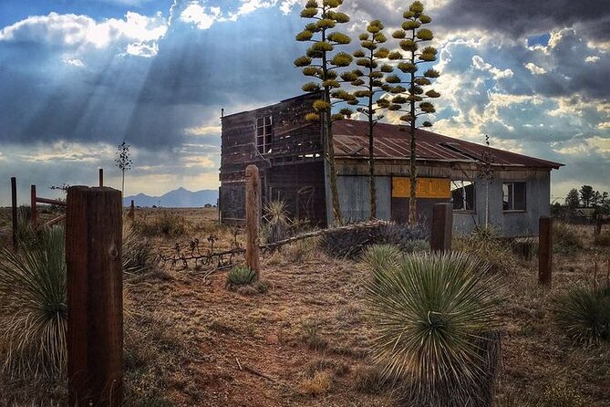A Wine Tasting Experience in the Vineyards of the Desert - What to Expect at Each Stop