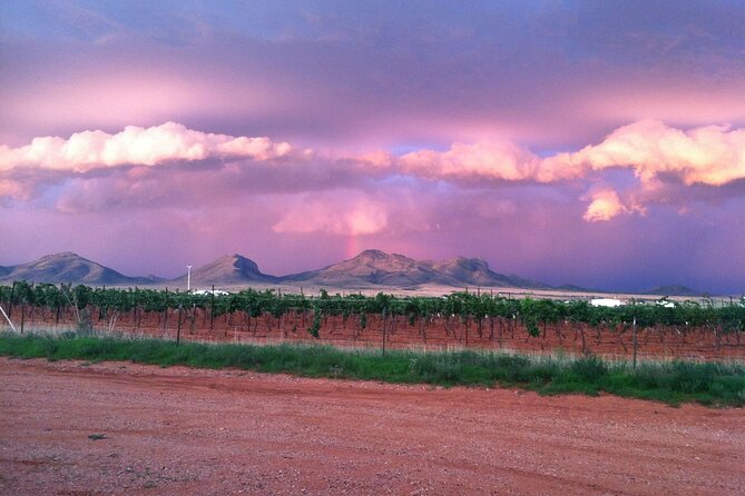 A Wine Tasting Experience in the Vineyards of the Desert - The Scenery and Transportation