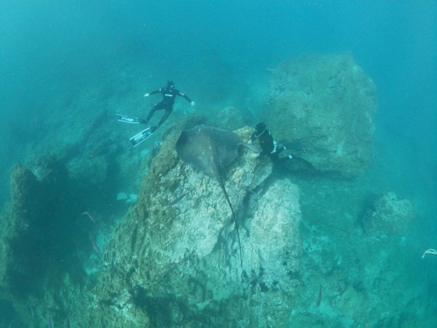Abades: Tenerife Turtles and Rays Snorkeling Trip - Who Should Consider This Tour?