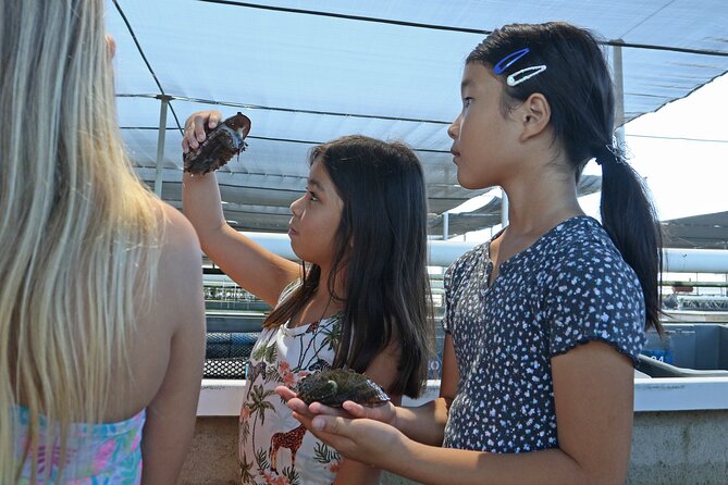 Abalone Farm Tour - The Value of the Tour