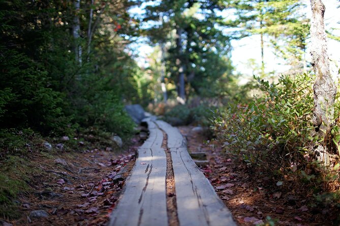 Acadia Full Day Private Tour and Hike - Why Choose This Tour?