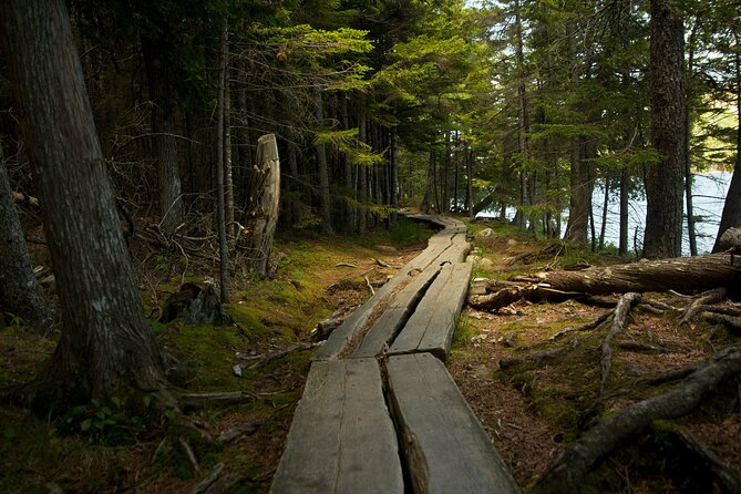 Acadia Full Day Small Group Tour - FAQ
