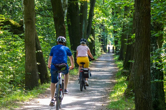 Acadia Half Day Private Bike Tour - Key Points