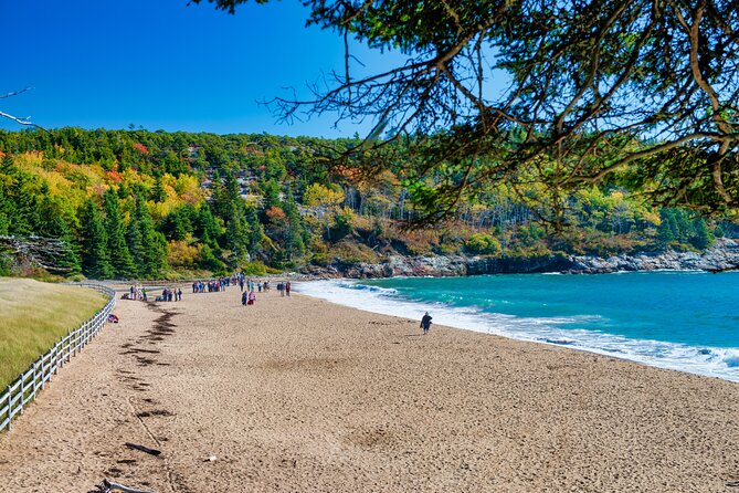 Acadia's Ocean Path Self-Guided Walking Audio Tour - Exploring Acadias Ocean Path Self-Guided Walking Audio Tour