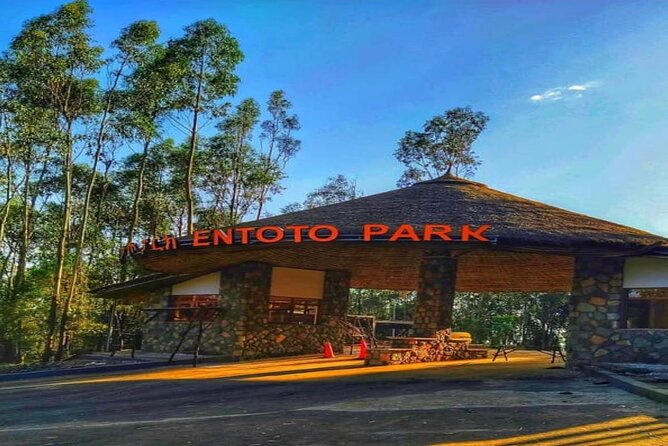 Addis Ababa +Mount Entoto View Point,Museums Palace Market Tours - Why This Tour Offers Great Value