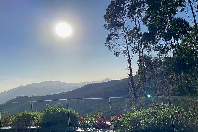 Addis Ababa +Mount Entoto View Point,Museums Palace Market Tours - Final Thoughts