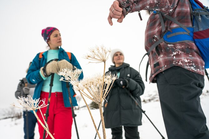 Advanced Snowshoeing Adventure - Key Points