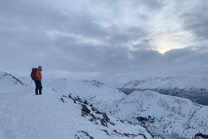Advanced Snowshoeing Adventure - An In-Depth Look at the Tour Experience