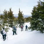 Advanced Snowshoeing Adventure - Final Thoughts: Is the Advanced Snowshoeing Tour Worth It?