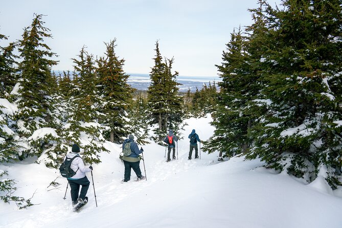 Advanced Snowshoeing Adventure - Final Thoughts: Is the Advanced Snowshoeing Tour Worth It?