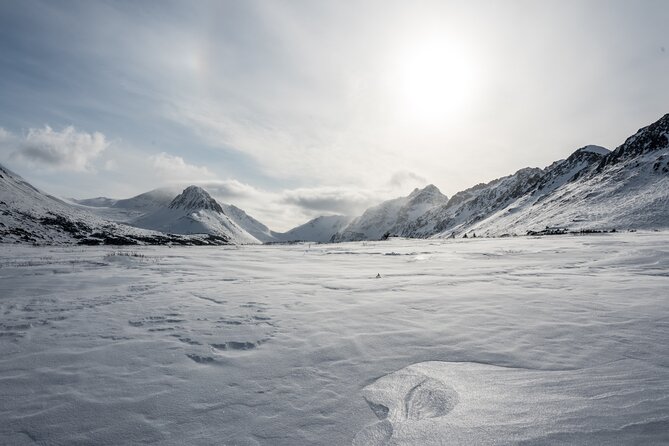 Advanced Snowshoeing Adventure - Who Should Book This Tour?
