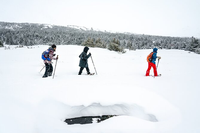 Advanced Snowshoeing Adventure - Frequently Asked Questions (FAQs)