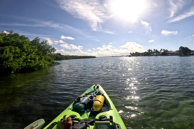 Adventure and Wildlife Watch Kayak Rentals in Sarasota - Key Points