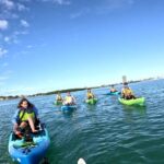Adventure and Wildlife Watch Kayak Rentals in Sarasota - Analyzing the Cost and Value