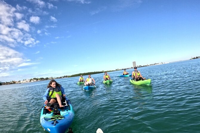 Adventure and Wildlife Watch Kayak Rentals in Sarasota - Analyzing the Cost and Value