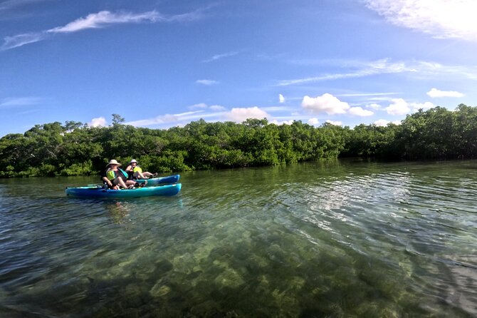 Adventure and Wildlife Watch Kayak Rentals in Sarasota - FAQs