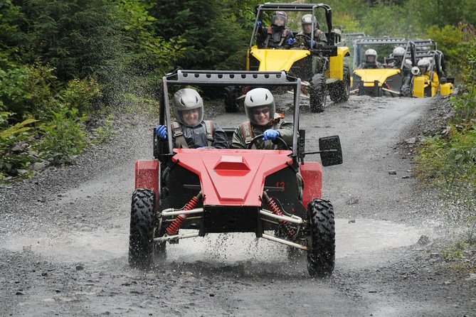 Adventure Kart Expedition- Ketchikan, AK - Key Points 