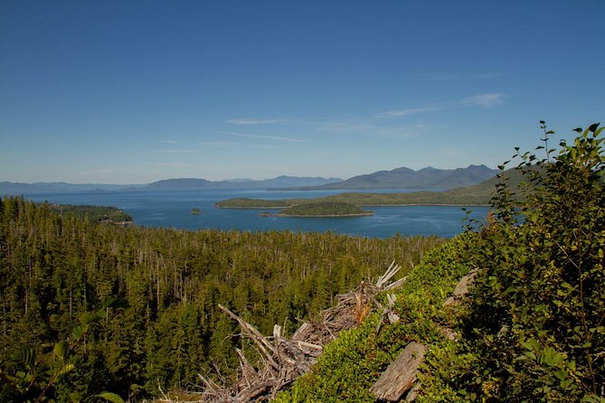 Adventure Kart Expedition- Ketchikan, AK - The Value of the Experience
