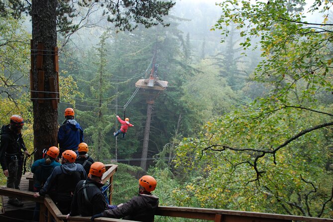 Adventure Parks & Zipline Tour - Introduction: Why This Adventure Park & Zipline Tour Is Worth Your Time