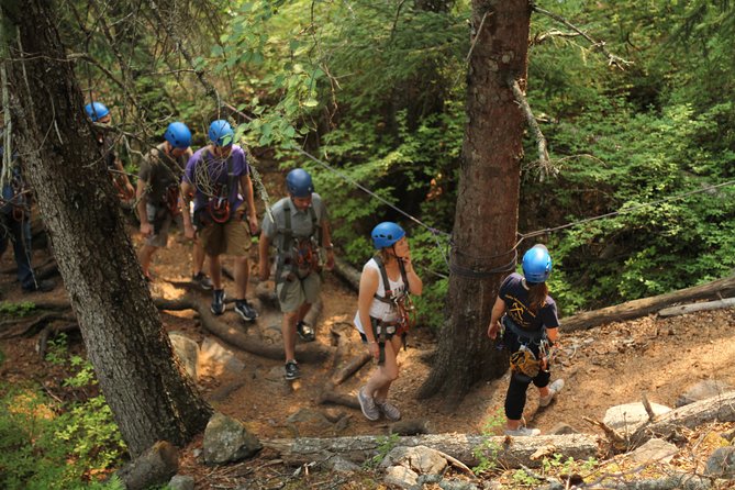 Adventure Parks & Zipline Tour - The Itinerary Breakdown: What to Expect