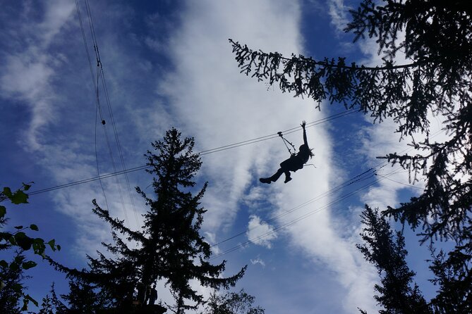 Adventure Parks & Zipline Tour - The Value Proposition: Is It Worth It?