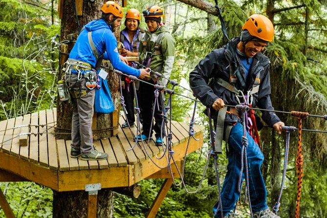 Adventure Parks & Zipline Tour - The Sum Up: A Must-Do Alaska Adventure