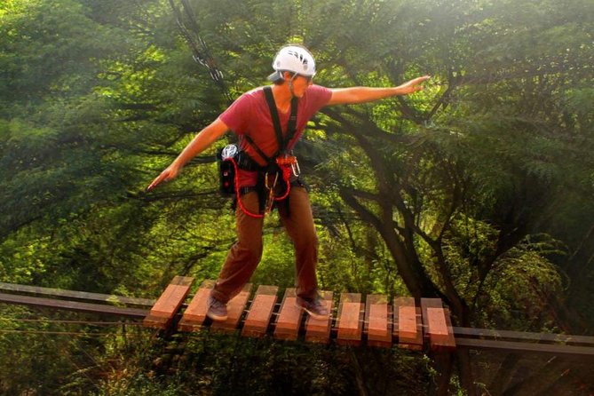 Adventure Tower Experience - Who Will Love This Tour?