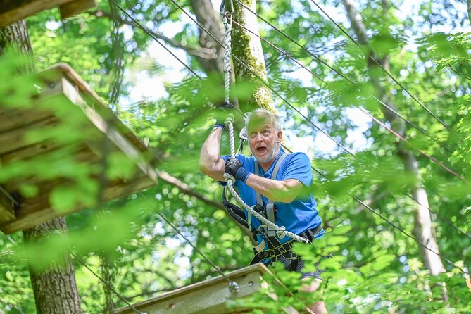 Aerial Adventure Park Admission - A Closer Look at the Experience