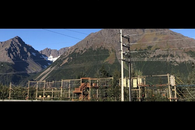 Aerial Park & Ropes Course - Who Would Love This Experience?