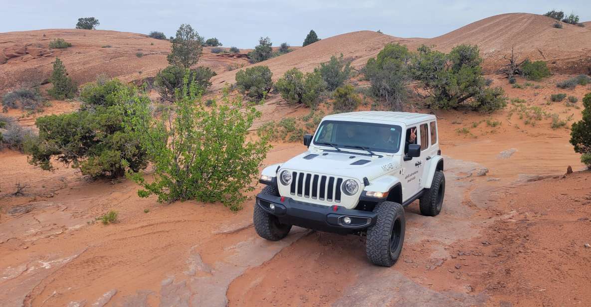 Afternoon Arches National Park 4x4 Tour - Deep Dive into the Experience  