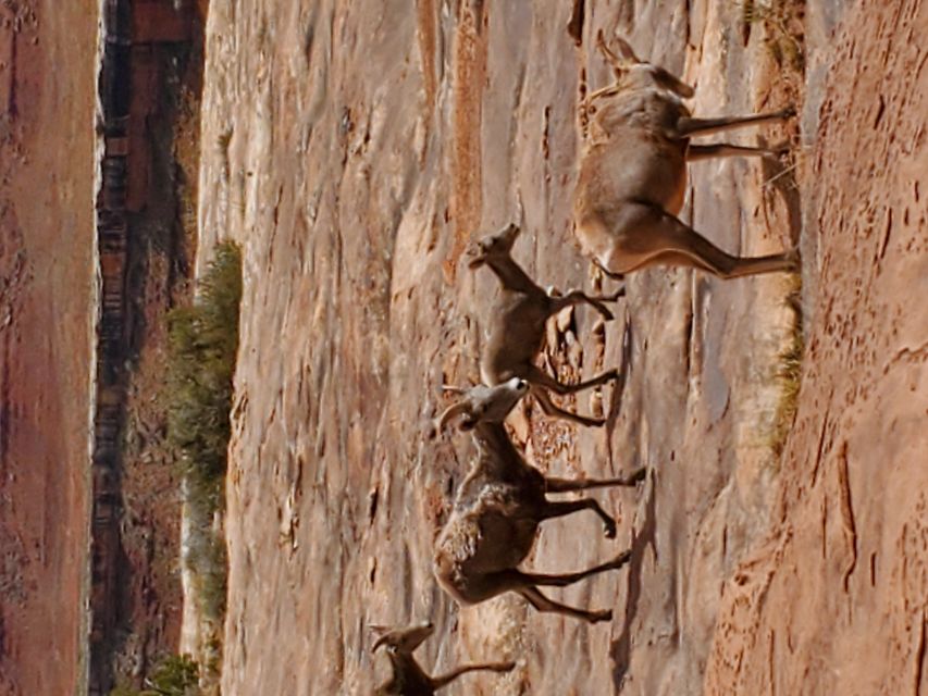 Afternoon Canyonlands Island In The Sky 4X4 Tour - Why This Tour Gives You More Than Just Pretty Pictures