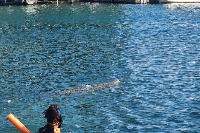 Afternoon Crystal River Ecological Boat Tour - Who Will Love This Tour?