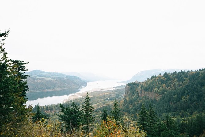 Afternoon Half-Day Multnomah Falls and Columbia River Gorge Waterfalls Tour from Portland - Transportation and Comfort
