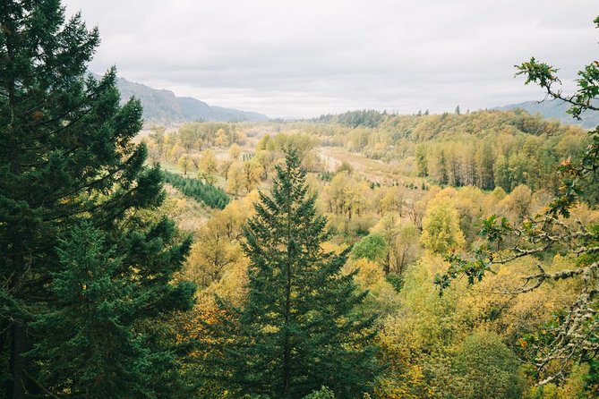 Afternoon Half-Day Multnomah Falls and Columbia River Gorge Waterfalls Tour from Portland - The Guide Experience