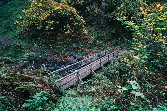 Afternoon Multnomah Falls and Gorge Waterfalls Tour - Who Will Love This Tour?