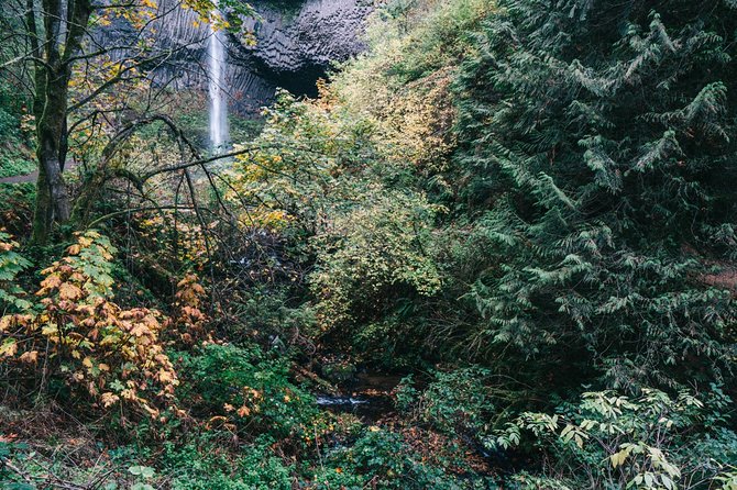 Afternoon Multnomah Falls and Gorge Waterfalls Tour - FAQ