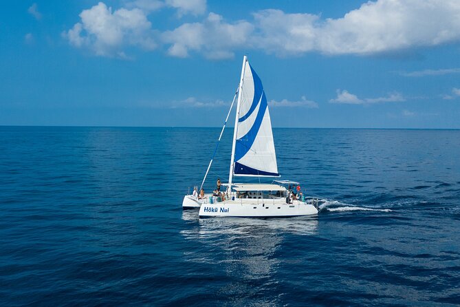 Afternoon Sail & Snorkel to the Captain Cook Monument - The Itinerary: What to Expect on Your Day Out