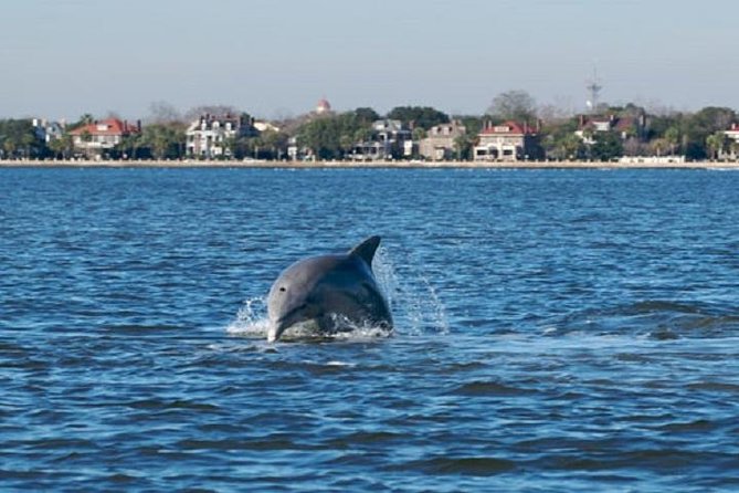 Afternoon Schooner Sightseeing Dolphin Cruise on Charleston Harbor - An In-Depth Look at the Charleston Schooner Experience