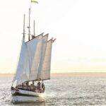 Afternoon Schooner Sightseeing Dolphin Cruise on Charleston Harbor - Who Will Love This Experience?