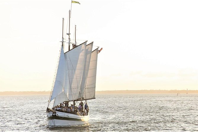 Afternoon Schooner Sightseeing Dolphin Cruise on Charleston Harbor - Who Will Love This Experience?