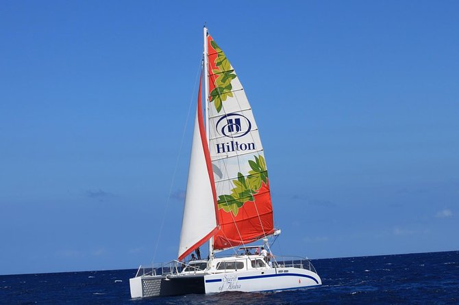 Afternoon Tradewind Sail from Waikoloa - Is This Tour Worth It?