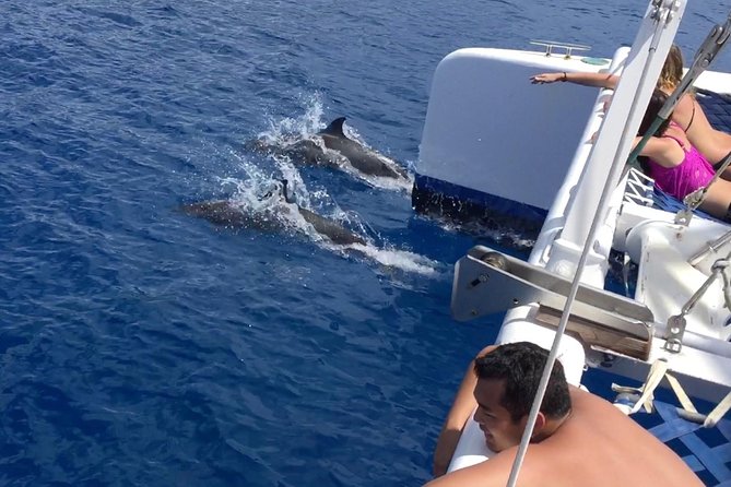 Afternoon West Maui Snorkel from Kaanapali Beach - An Authentic Maui Snorkeling Experience