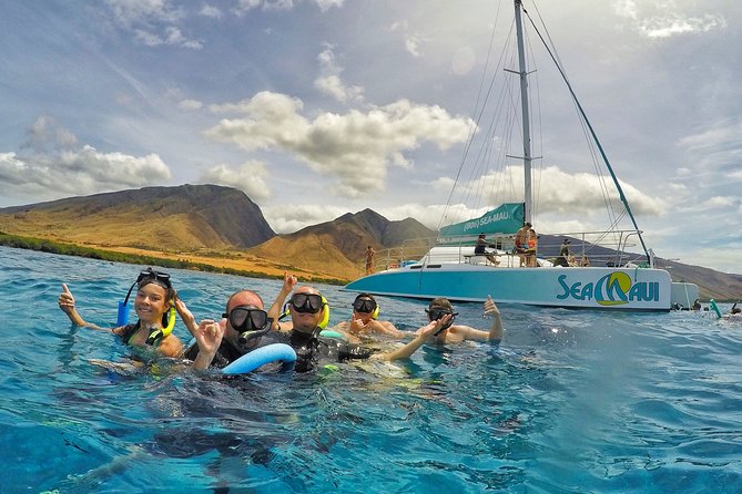 Afternoon West Maui Snorkel from Kaanapali Beach - What Youll Value Most