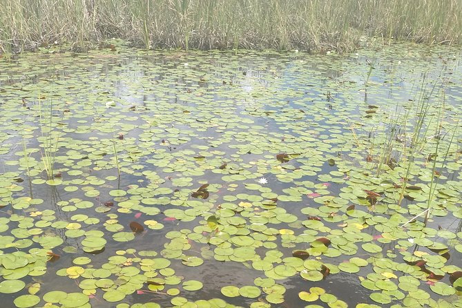 Air Boat Tour of Palm Beach in The Swamp Monster - FAQs