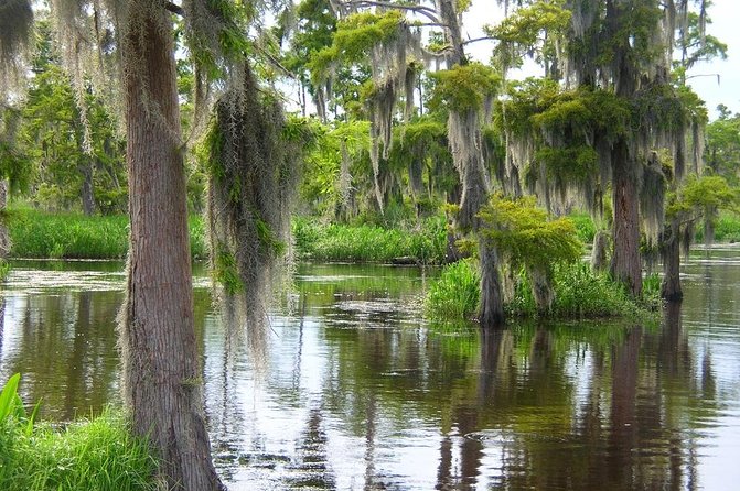 Airboat Swamp and Destrehan Plantation Tour from New Orleans - The Itinerary in Detail