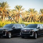Airport and City Transfers in New Orleans - Insights from Travelers Reviews — What Makes This Service Stand Out