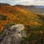 Alabama: 3-Day East Alabama Family Fun Multi-Attraction Pass - What Does It Feel Like to Use This Pass?  