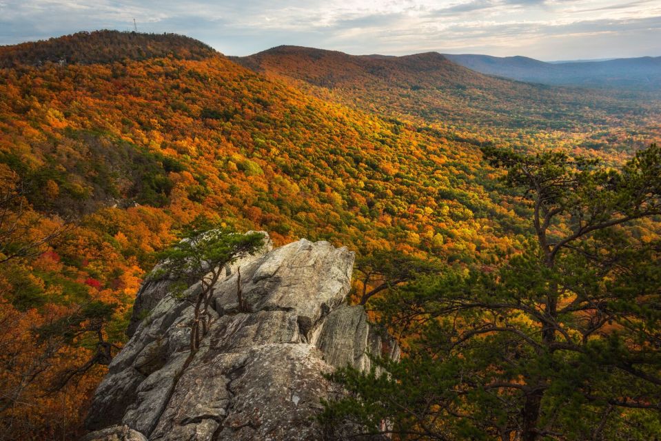 Alabama: 3-Day East Alabama Family Fun Multi-Attraction Pass - What Does It Feel Like to Use This Pass?